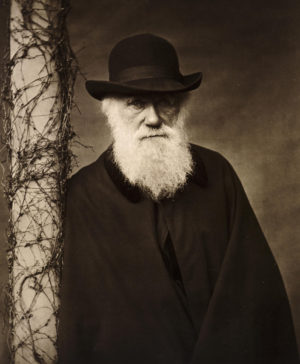 Darwin Day notwithstanding, evolution debate keeps, well, evolving