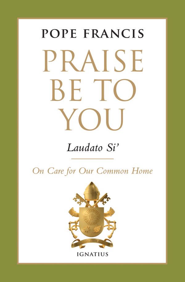 10 years later, Pope Francis' Laudato si' is more relevant than ever