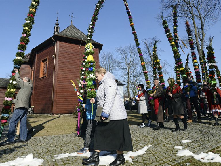Photos of the Week