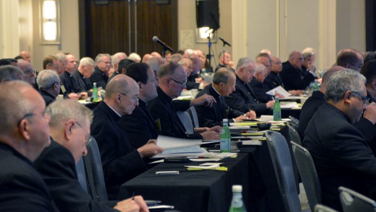 At Catholic bishops conference, a deeper embrace of Pope Francis — and ...