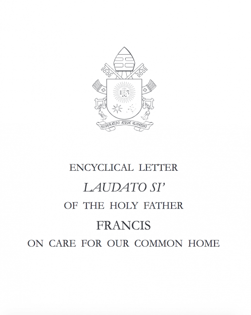 Pope Francis’ Laudato Si' v. the Green New Deal