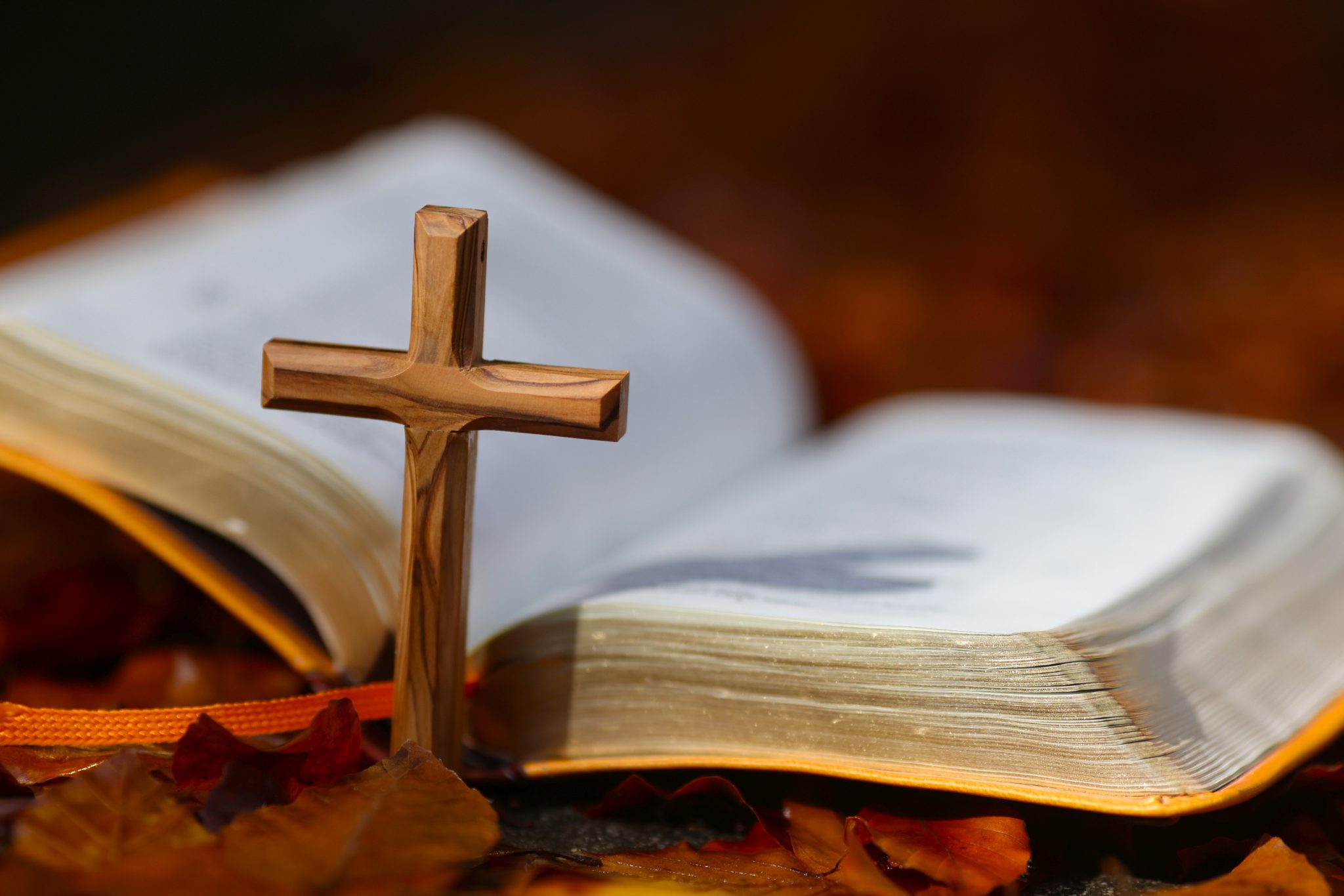 What is biblical inerrancy? A New Testament scholar explains