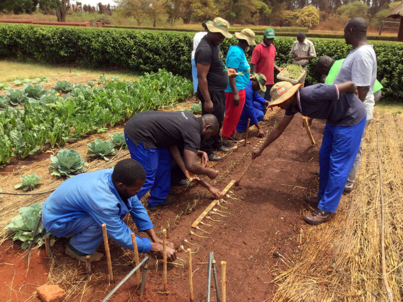 Zimbabwean nonprofit promotes 'God’s way' of farming