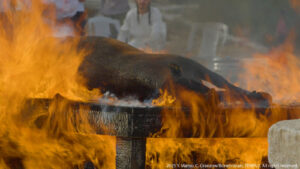 Evangelicals rehearse ancient red heifer ritual linked to Jerusalem ...
