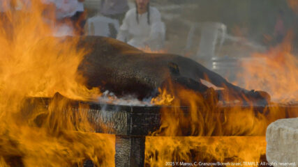 Evangelicals rehearse ancient red heifer ritual linked to Jerusalem ...