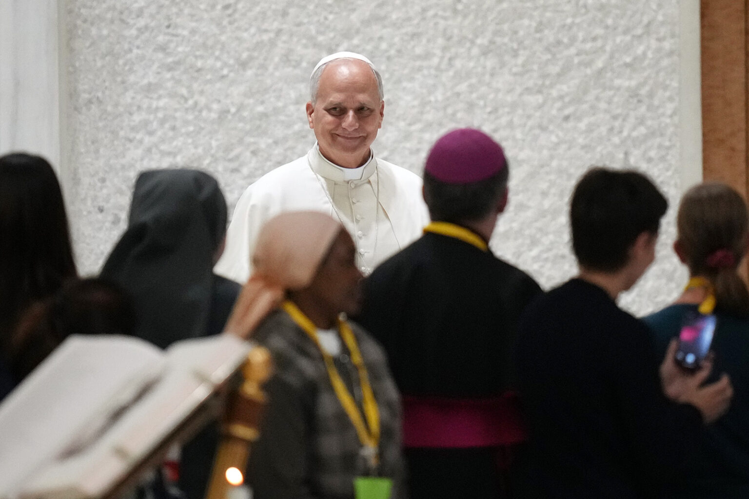 Does Pope Leo want synodality without the laity?